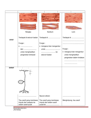 Latihan 2.6 organisasi sel dalam organisma multisel[9 13] | PDF