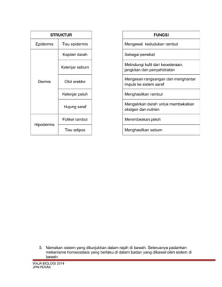 Latihan 2.6 organisasi sel dalam organisma multisel[9 13] | PDF
