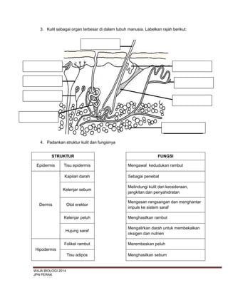 Latihan 2.6 organisasi sel dalam organisma multisel[9 13] | PDF