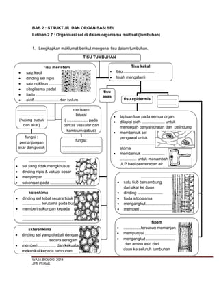 Latihan 2.7 organisasi sel dalam tumbuhan[14 15] | PDF
