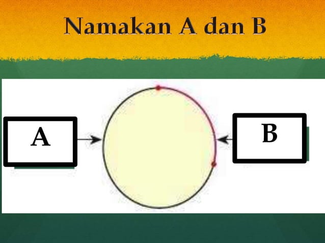 Latihan bulatan | PPT