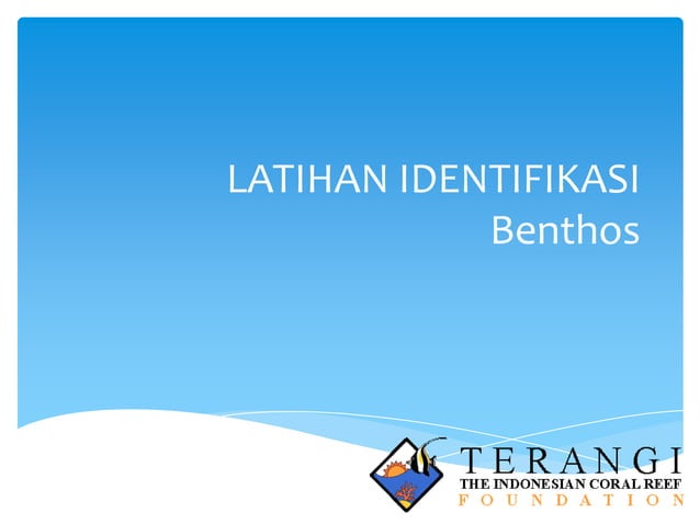 Latihan Identifikasi Benthos | PPT