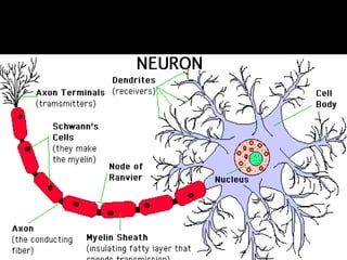 latihan kognitif senam otak lansia ( benar ).ppt