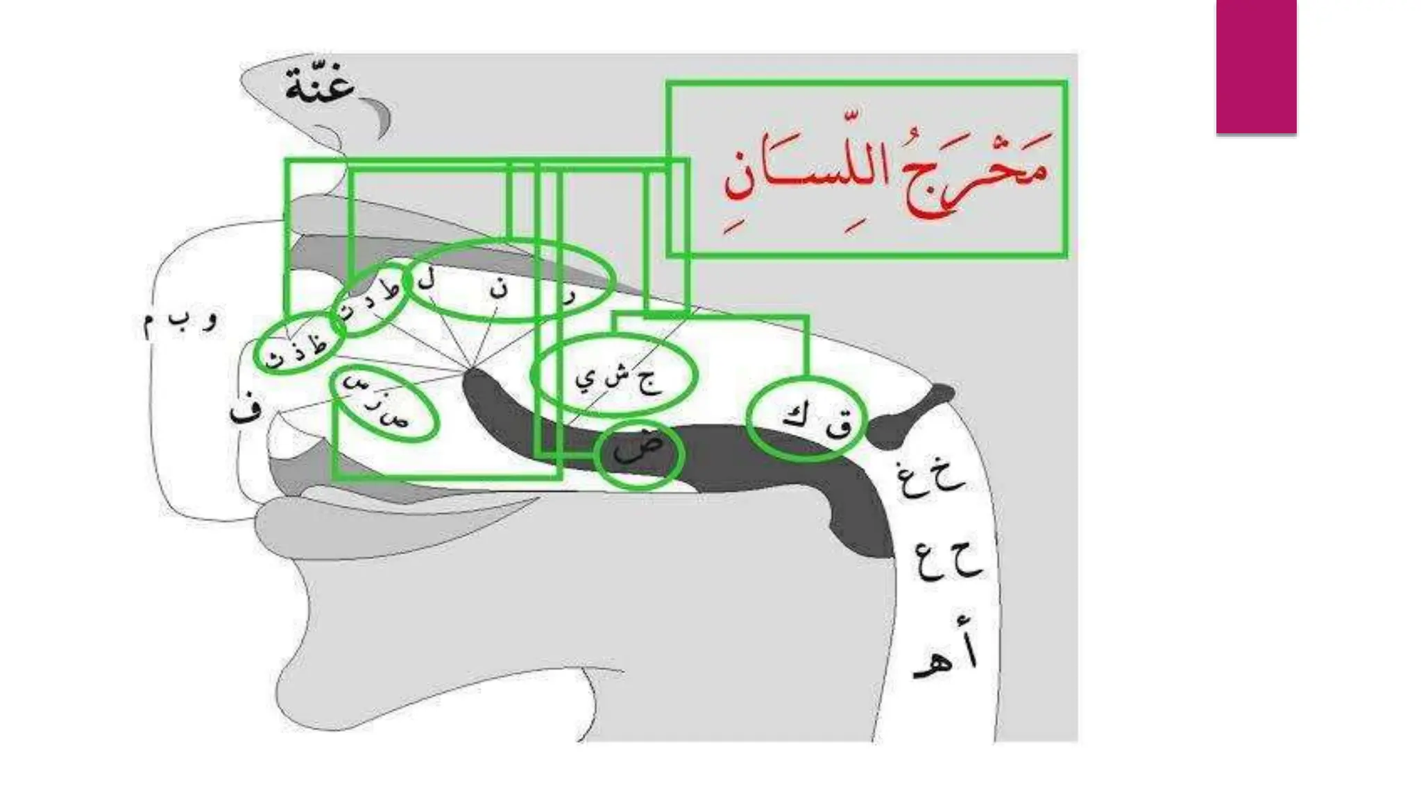Latihan Makhraj 5 Tajwid Dasar untuk Pemula.pptx