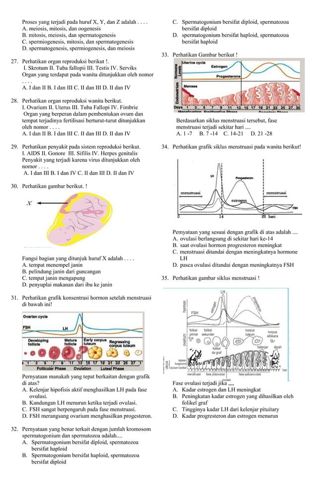 Latihan paket biologi persiapan un 2019a | PDF Latihan paket biologi persiapan un 2019a | PDF