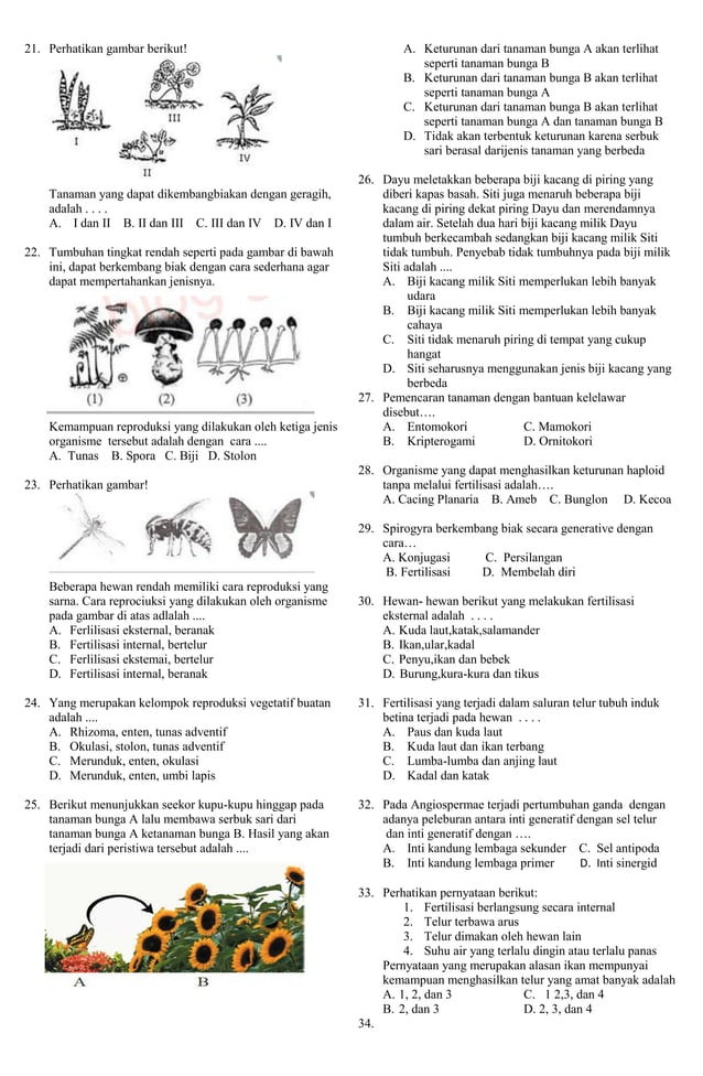 Latihan paket biologi persiapan un 2019a | PDF Latihan paket biologi persiapan un 2019a | PDF