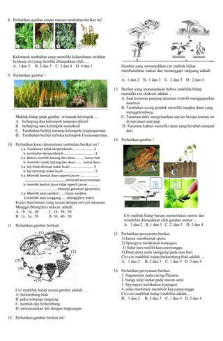 Latihan paket biologi persiapan un 2019a | PDF