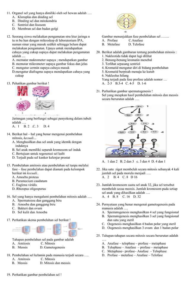 Latihan paket biologi persiapan un 2019a | PDF Latihan paket biologi persiapan un 2019a | PDF