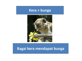 Latihan peribahasa bergambar PT3 | PPTX