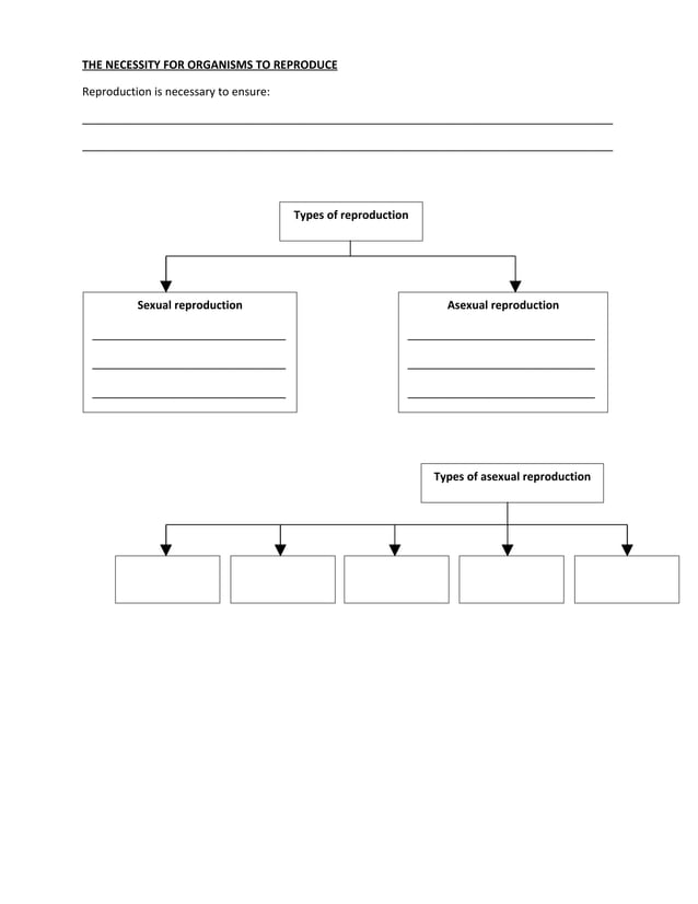 Latihan reproduction | DOC