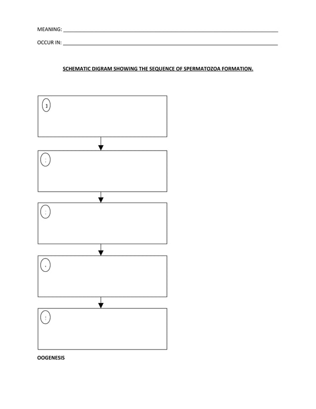 Latihan reproduction | DOC