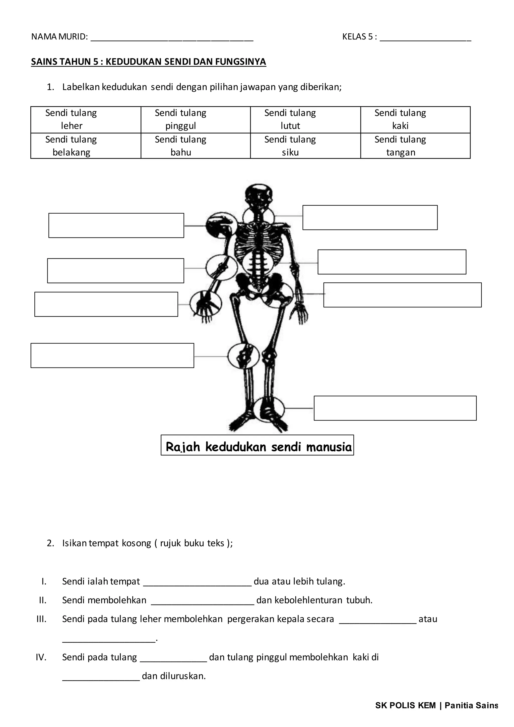 Latihan sistem rangka & sendi | DOCX