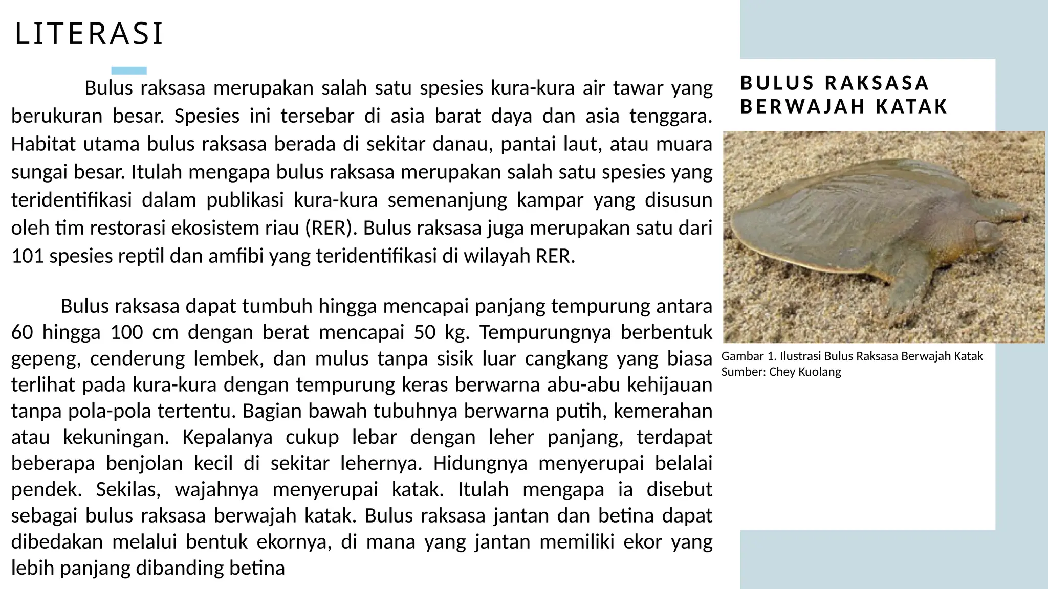 LATIHAN SOAL ANBK literasi dan numerasi konten sains | PPTX