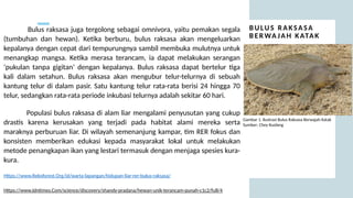 LATIHAN SOAL ANBK literasi dan numerasi konten sains | PPTX