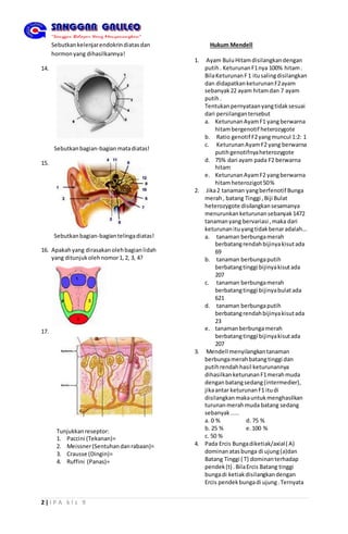 Latihan soal biologi kelas risang | PDF