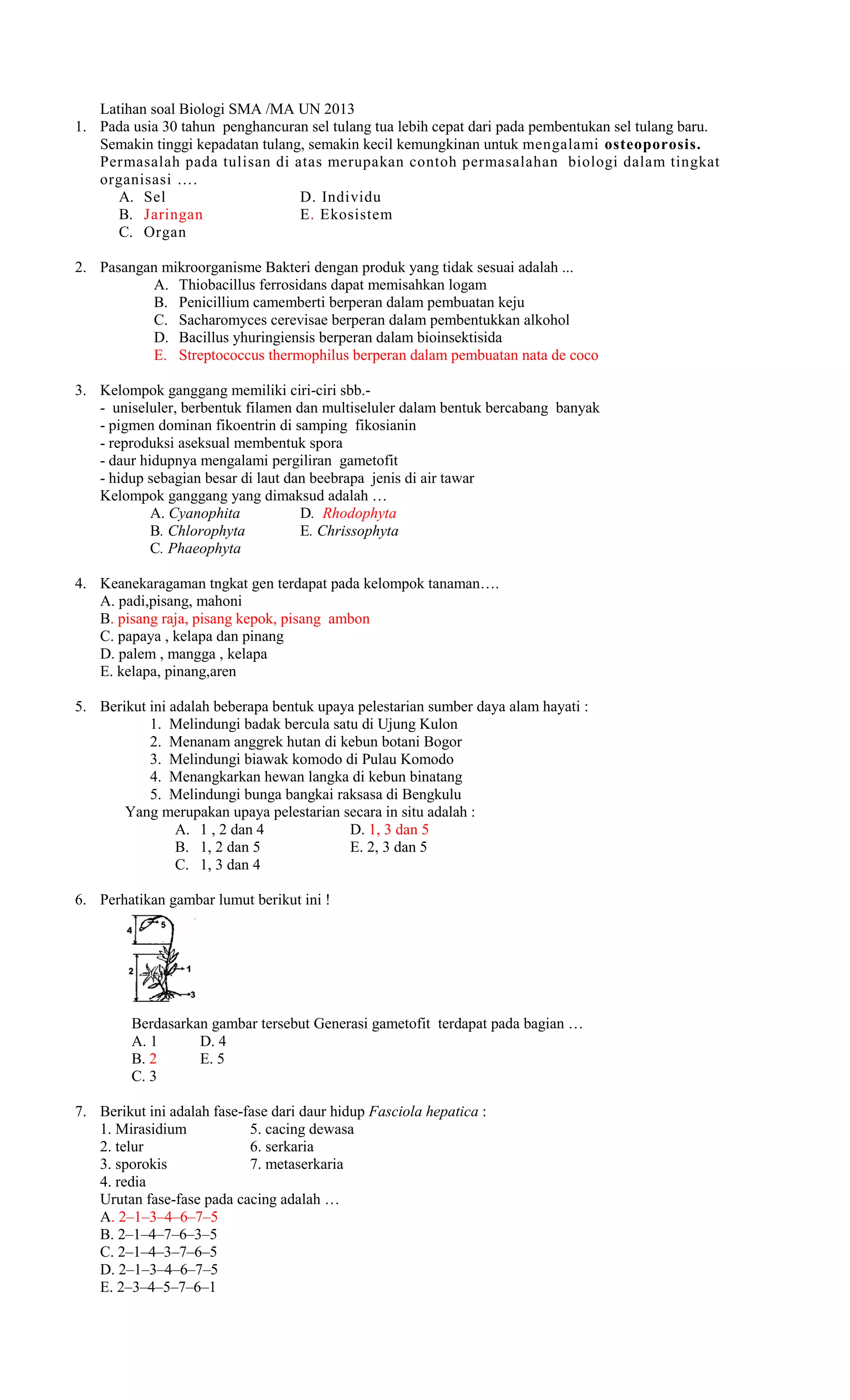 Latihan soal biologi sma ma un 2013 | PDF