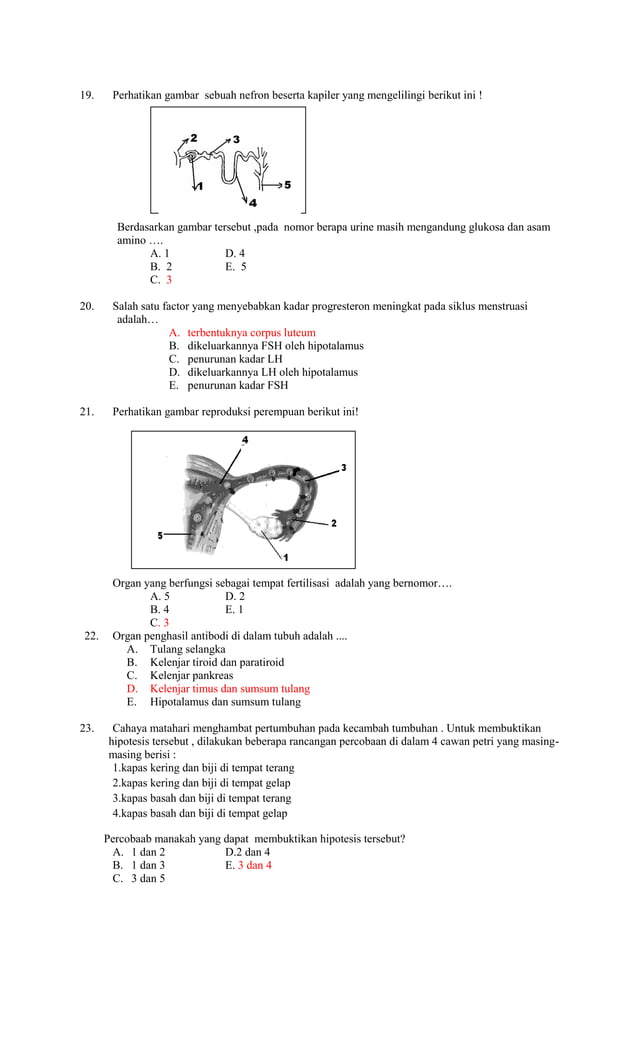 Latihan soal biologi sma ma un 2013 | PDF