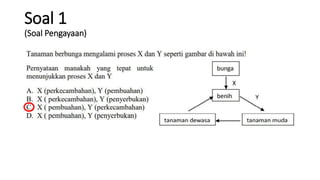 LATIHAN SOAL HOT 3 SNR PEKAN 10 (2).pptx