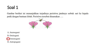 LATIHAN SOAL HOT 3 SNR PEKAN 10 (2).pptx