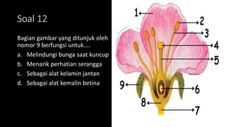 LATIHAN SOAL jaringan tumbuhan.pptx