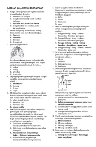 LATIHAN SOAL SISTEM PERNAPASAN untuk kelas 8 | DOCX