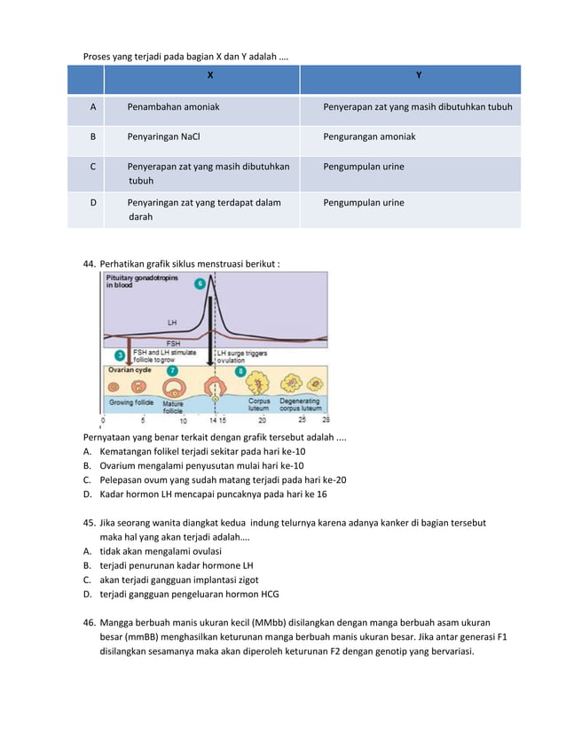 Latihan SOAL UN IPA 2020 PKU.pdf