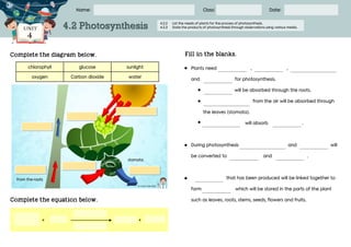 Exercise for topic photosynthesis in BI.pdf