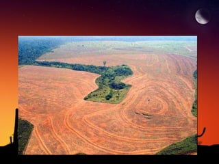 Latin America Environmental Concerns | PPT