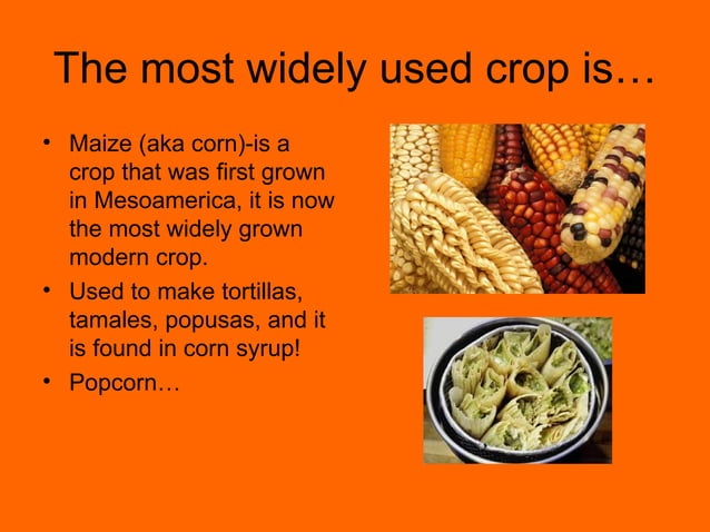 Latin american foods | PPT | World Cuisines | Food & Drink