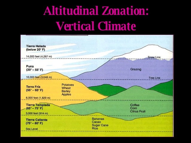 COLONIAL PERIOD: Latin American Geography | PPT