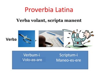 Latina proverbia | PPT