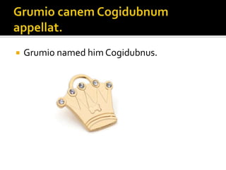 Latin children’s book story | PPTX