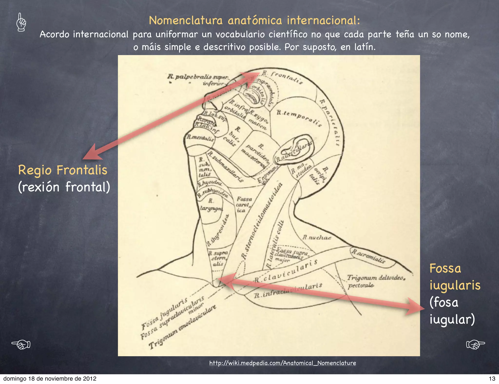 Do Latin ao galego e ao castelán. v1.4_2012 | PDF