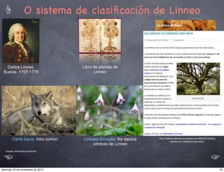 Do Latin ao galego e ao castelán. v1.4_2012 | PDF