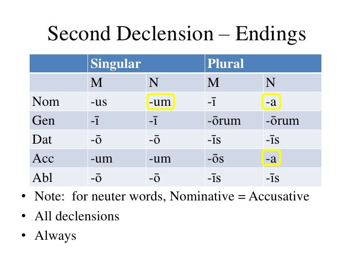 Latin I lesson 05 share