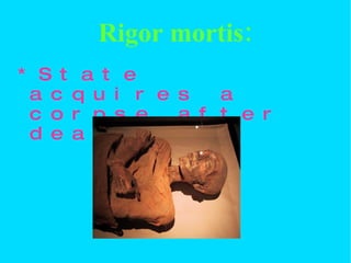 Latinisms Laura R | PPT