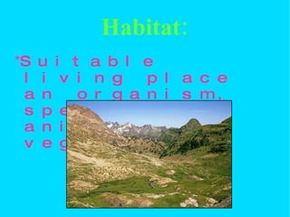 Latinisms Laura R | PPT