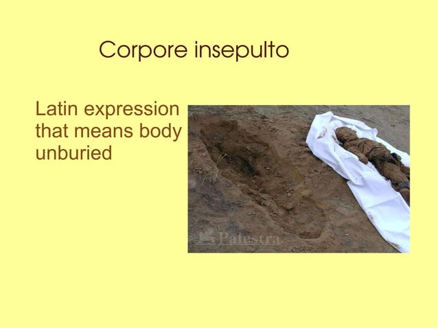 Latinisms Sonia | PPT