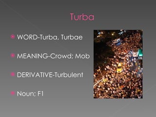 Latin Vocabulary | PPT