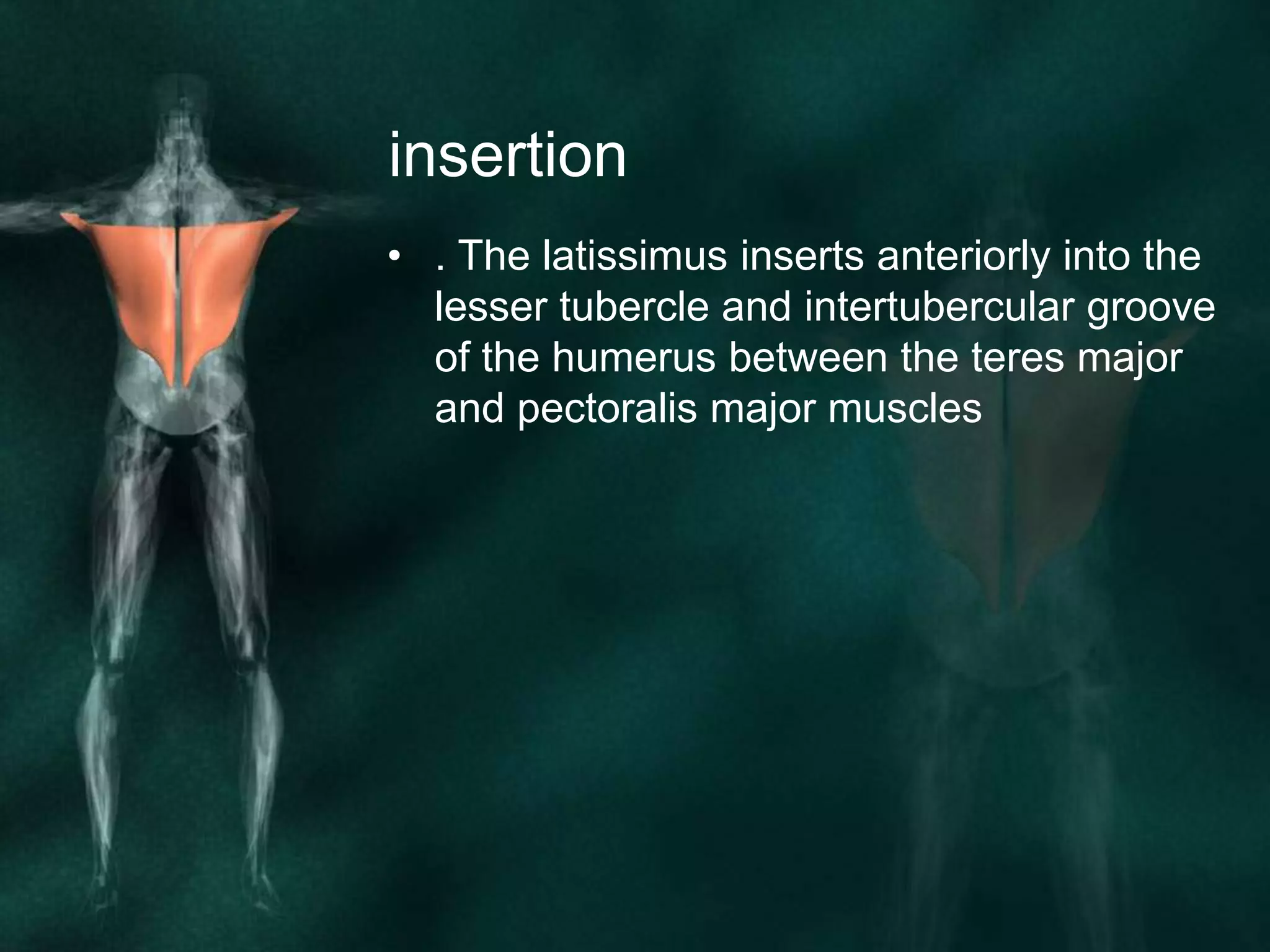 Latissimus dorsi flap for reconstruction in head and neck deffects | PPTX