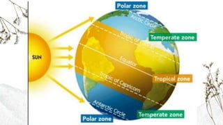 GRADE 9 SCIENCE- latitude and climate.pptx