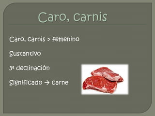 VOCABULARIO LATIN. UNIDAD 5 | PPTX