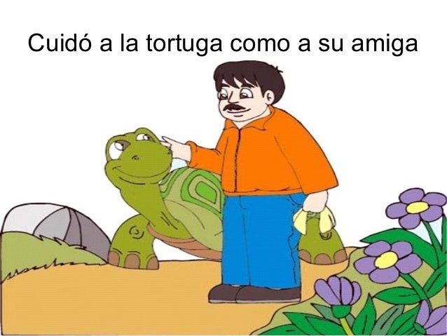 7B - La tortuga gigante
