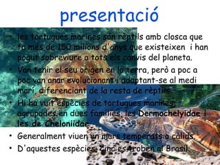 La tortuga marina 1 | PPT