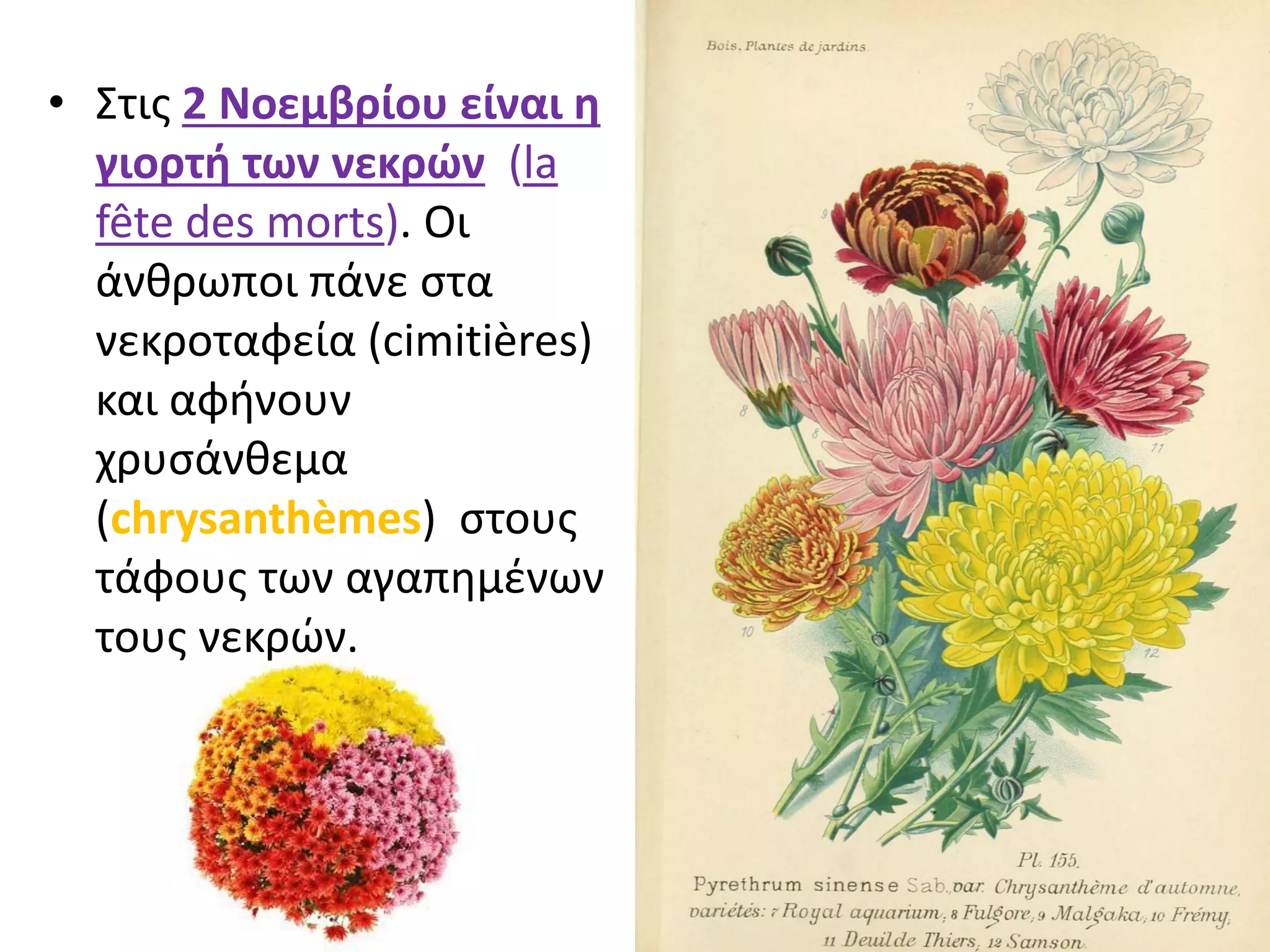 Vive la Toussaint! Vive Halloween!!! | PPT