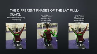 Lat Pull-Down | PPT