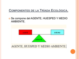 La triada ecologica | PPTX