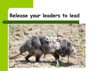 Multiplication of Disciples | PPT