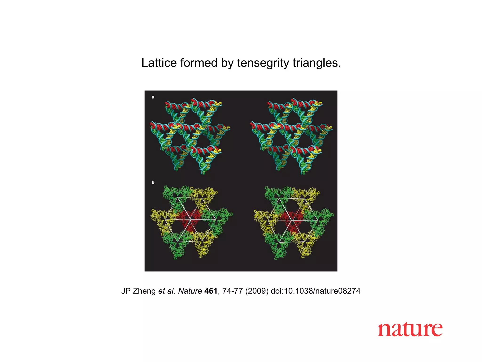 Lattice Formed By Tensegrity Triangles Nature08274 Pf3 | PPT
