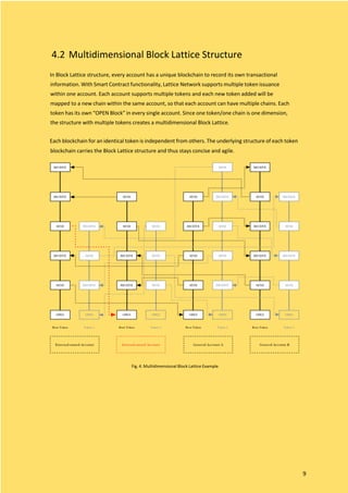 Lattice Network Yellow Paper.pdf